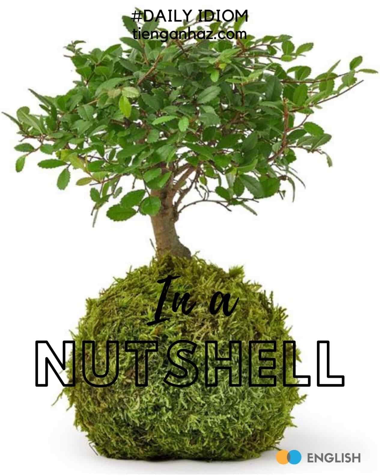 [Daily idiom] In a Nutshell - Cô Đọng - Tieng Anh AZ