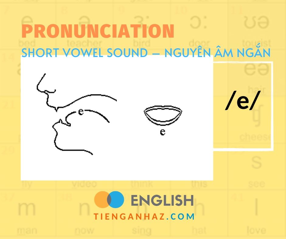 Pronunciation | Vowel sound /e/ - Tieng Anh AZ