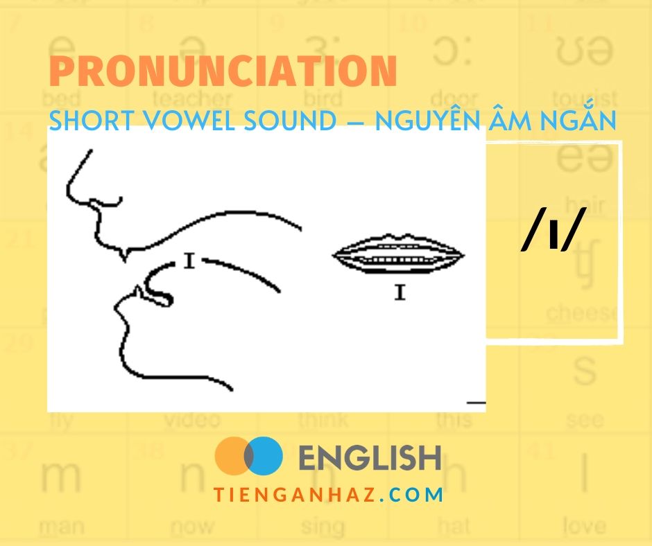 Pronunciation | Short vowel - Nguyên âm ngắn /ɪ/ - Tieng Anh AZ