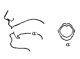 Pronunciation | Long vowel - Nguyên âm dài /ɑː/ - Tieng Anh AZ