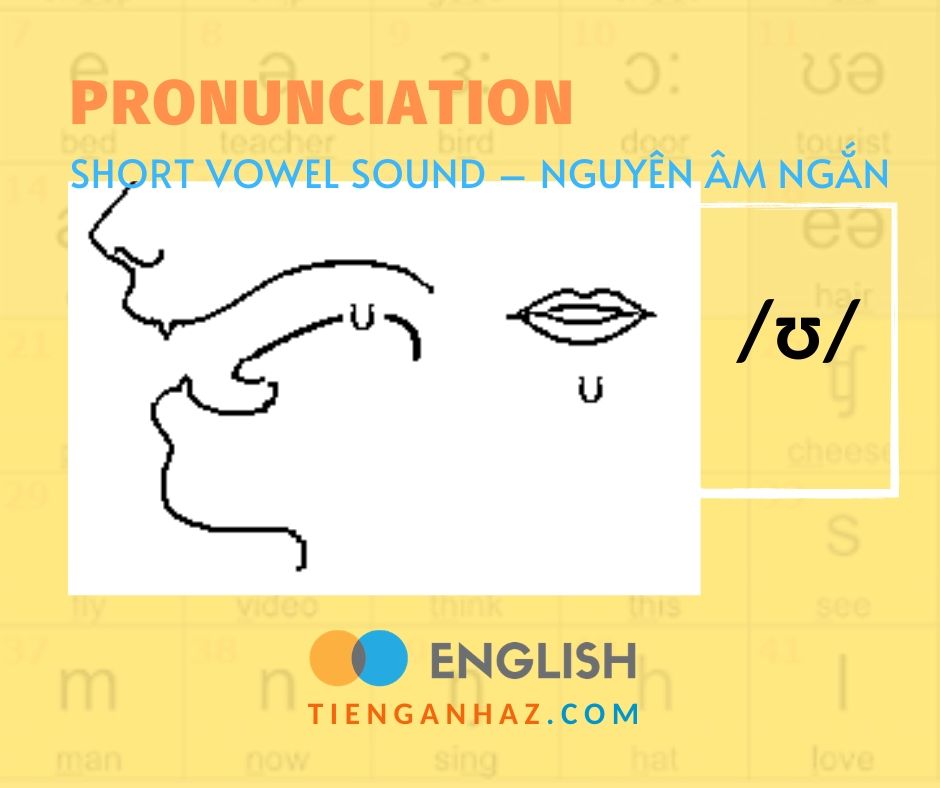 Pronunciation | Short vowel sound – Nguyên âm ngắn /ʊ/ - Tieng Anh AZ