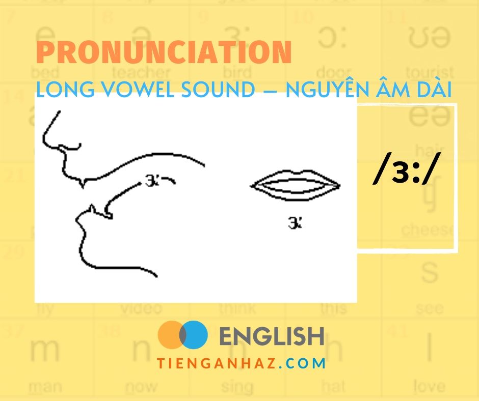 Pronunciation | Long vowel sound – Nguyên âm dài /ɜ:/ - Tieng Anh AZ