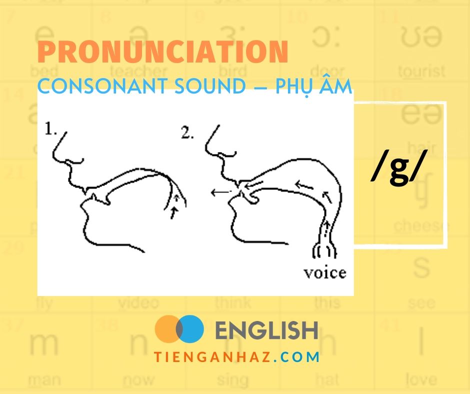 Pronunciation | Consonant sound - Phụ âm /g/ - Tieng Anh AZ