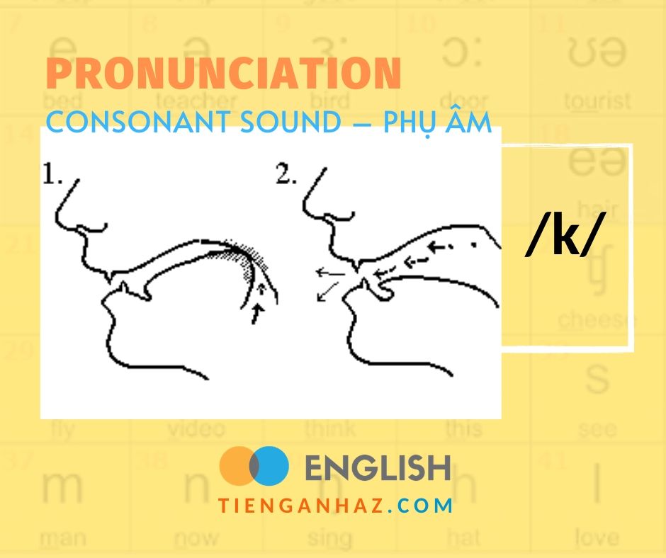 Pronunciation | Consonant sound - Phụ âm /k/ - Tieng Anh AZ