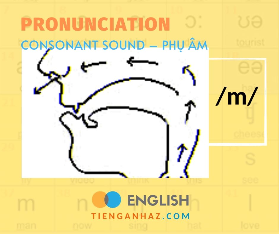 Pronunciation | Consonant sound - Phụ âm /m/ - Tieng Anh AZ