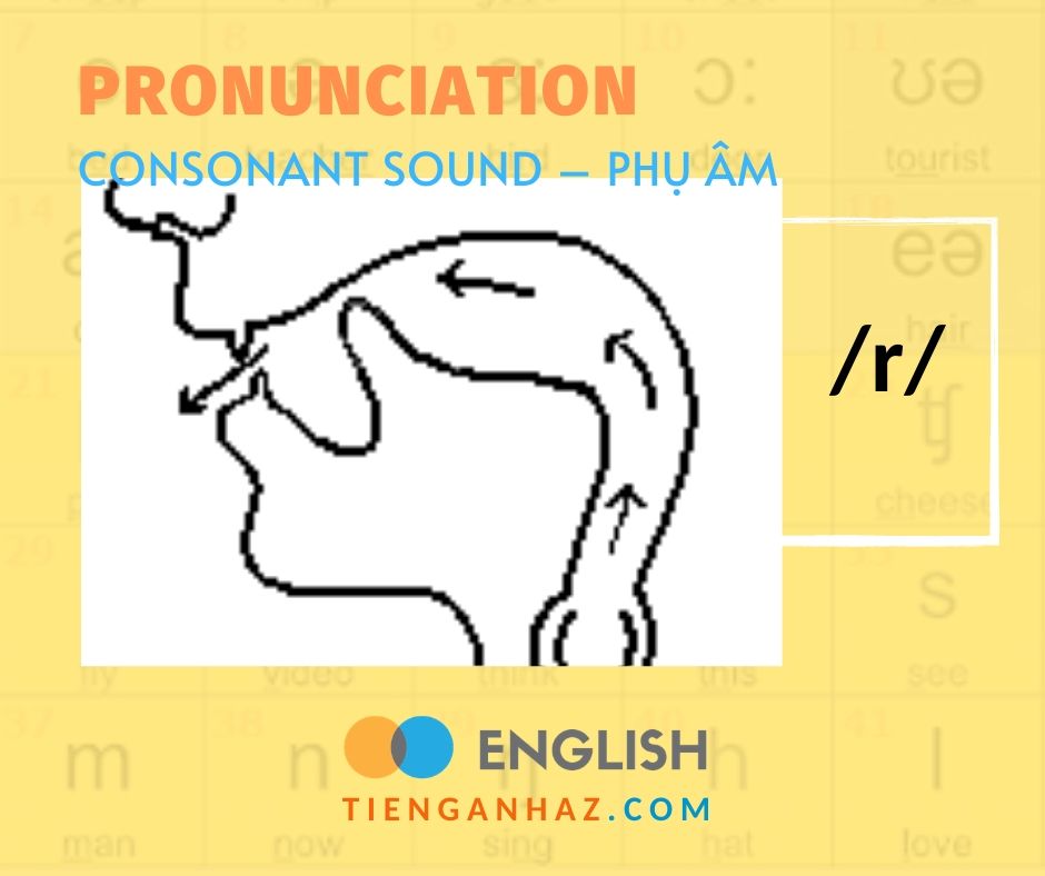 Pronunciation | Consonant sound - Phụ âm /r/ - Tieng Anh AZ