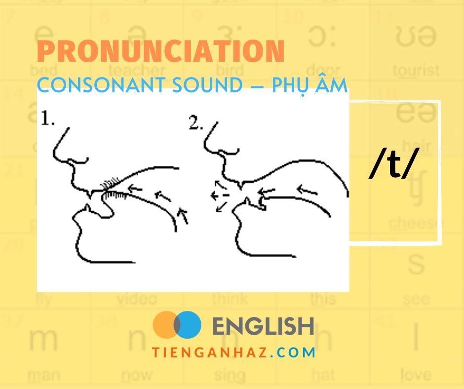 Pronunciation | Consonant sound - Phụ âm /t/ - Tieng Anh AZ